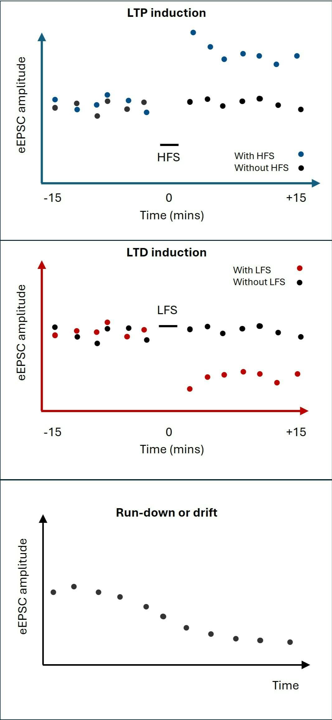Electrophysiology protocols for LTP and LTD: Recording… | Scientifica