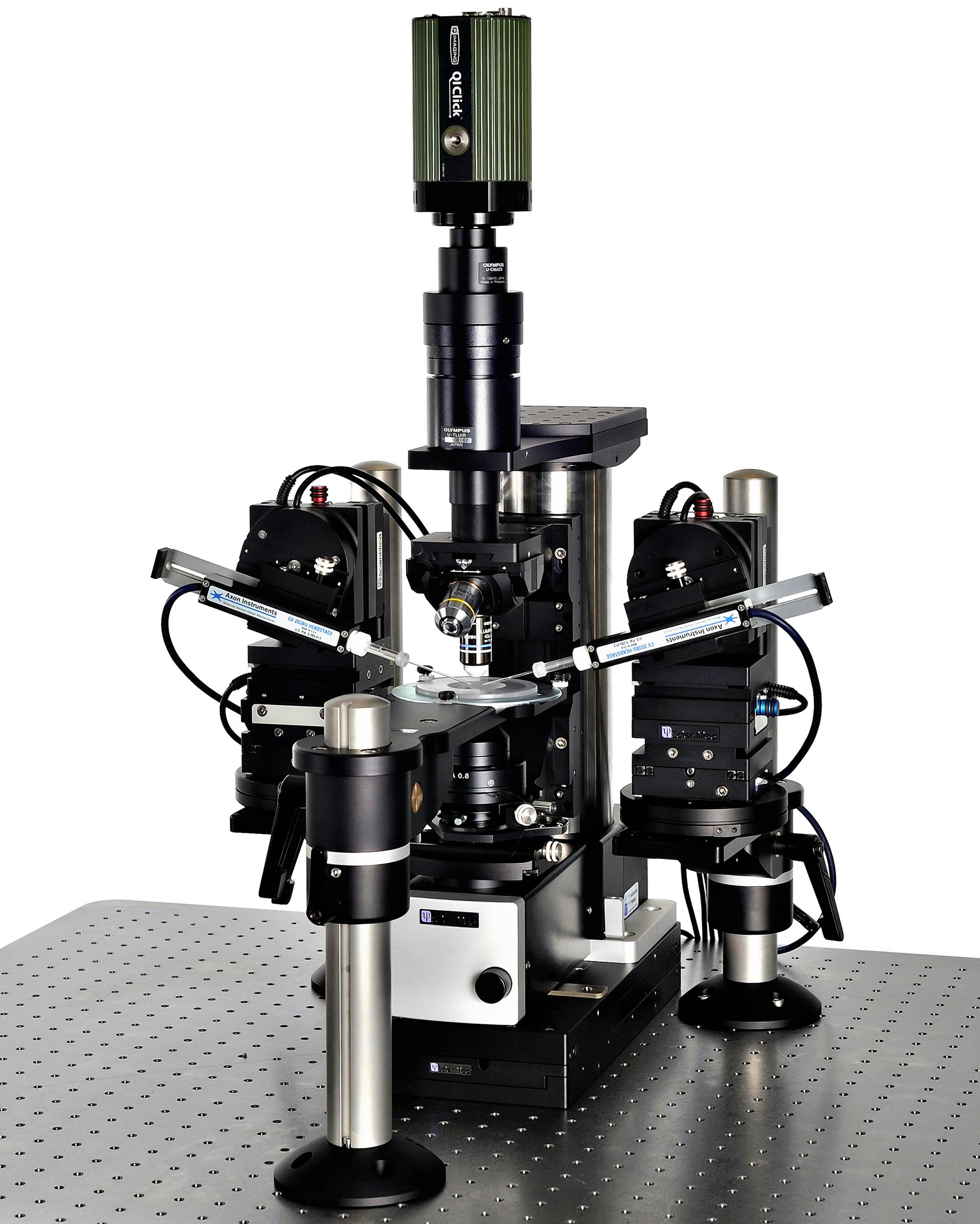Scientifica SliceScope Pro 1000 | Electrophysiology Rig | Scientifica