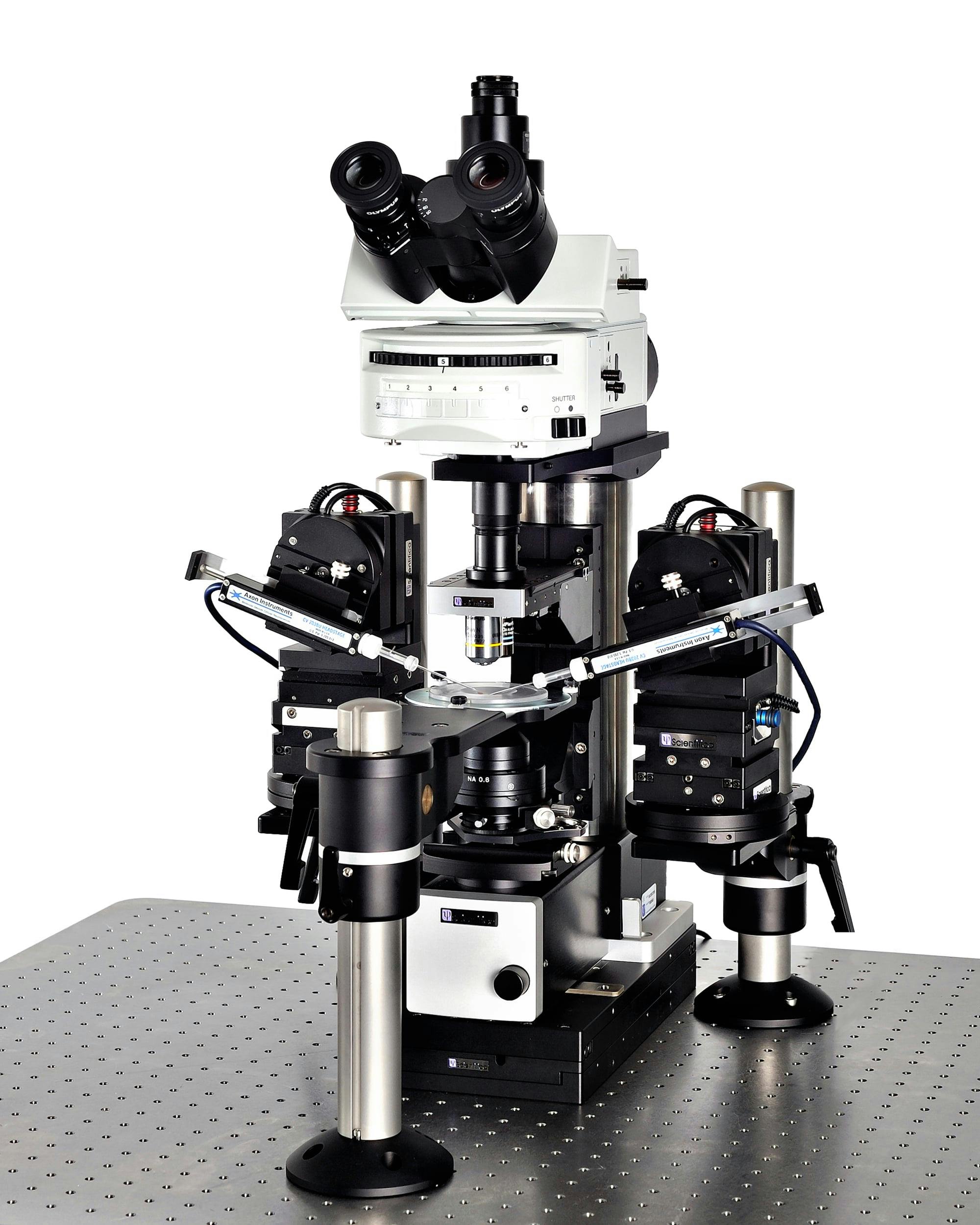 Scientifica SliceScope Pro 1000 Electrophysiology Rig
