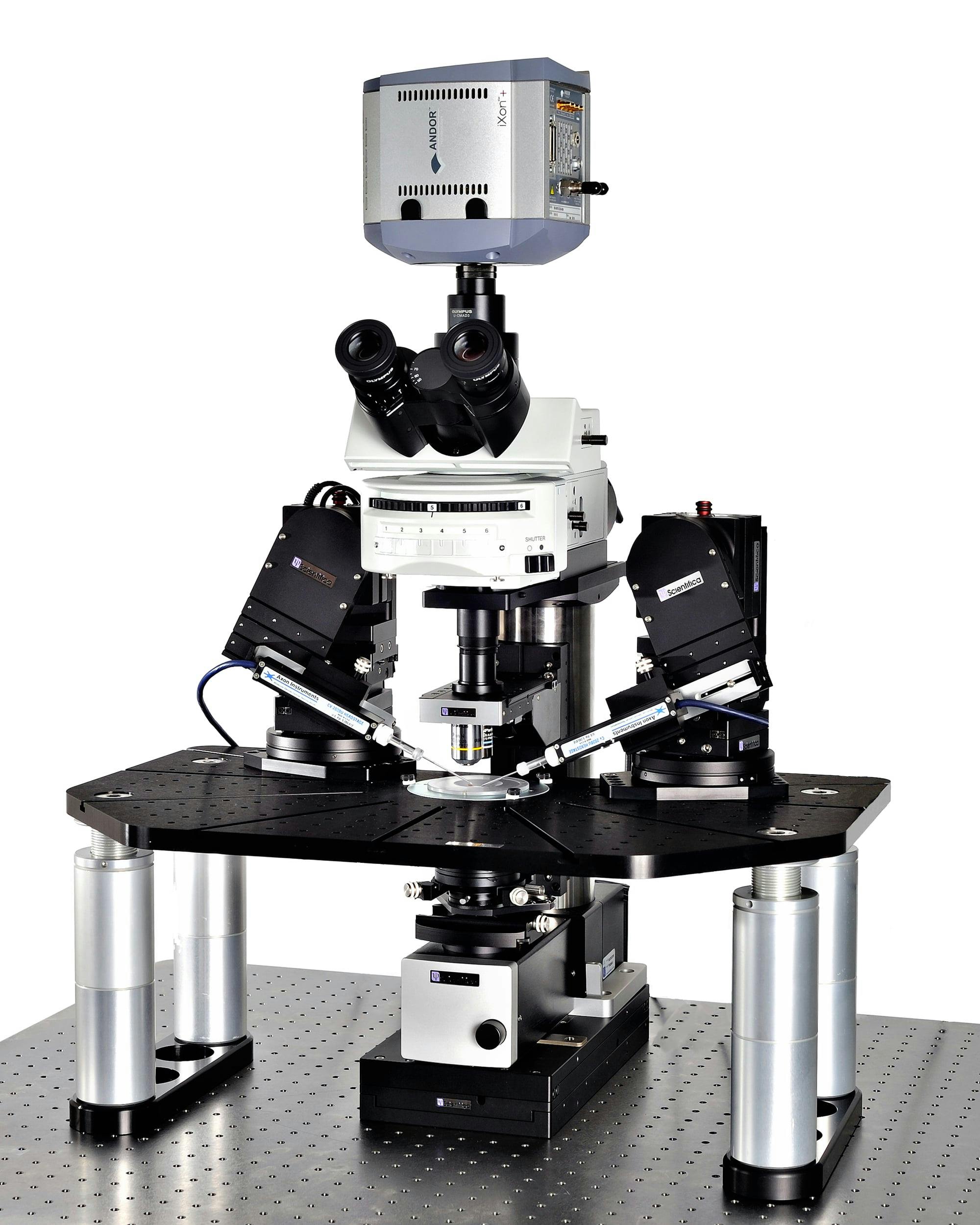 Scientifica SliceScope Pro 2000 Electrophysiology Rig