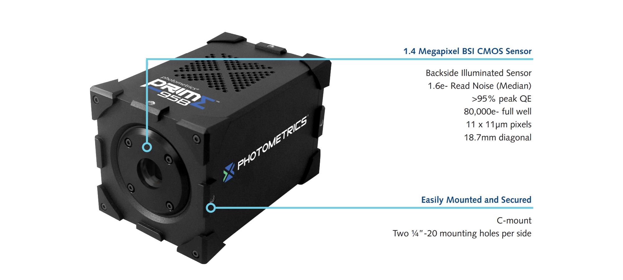 Experts in Electrophysiology Systems | Scientifica