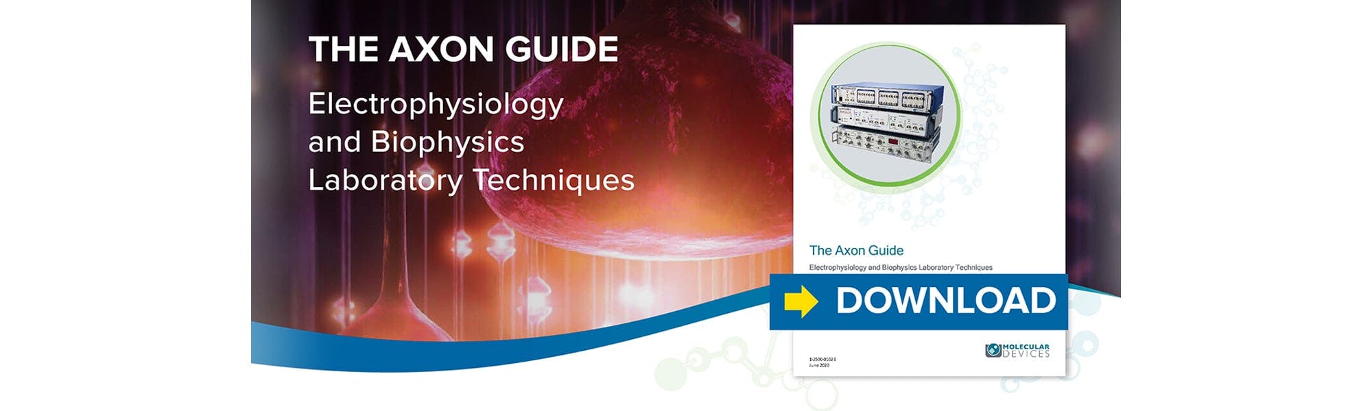 Now available: New edition of the Axon Guide | Scientifica