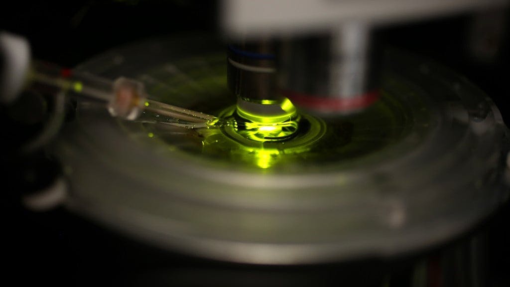 Electrophysiology: What goes on the inside? | Scientifica
