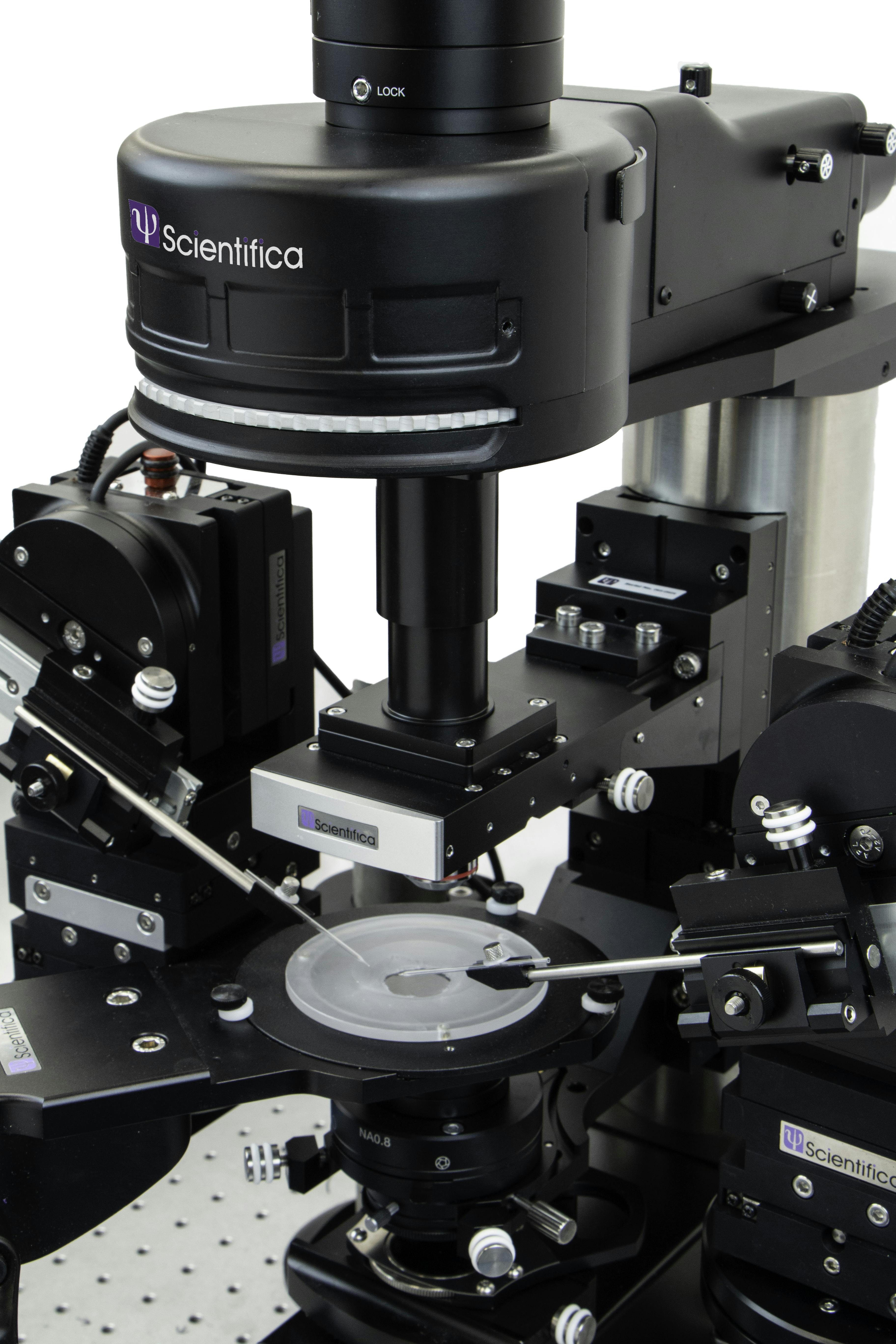 Scientifica Filter Cube Module+ | Full-field… | Scientifica