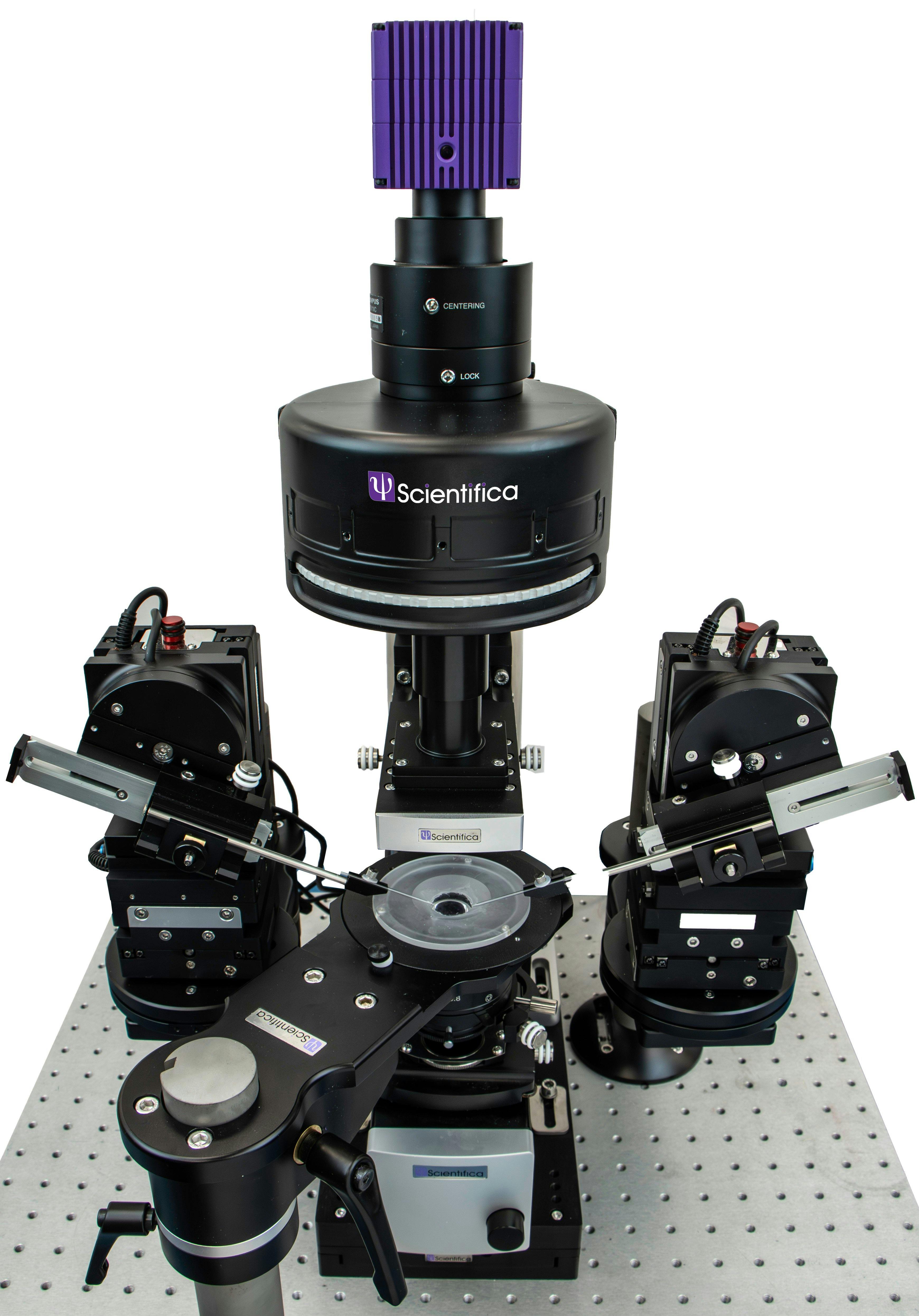 The Scientifica SciCam+ Camera | Scientifica