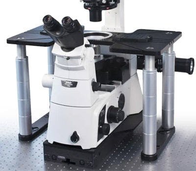 Scientifica Inverted Fixed Platform | Scientifica