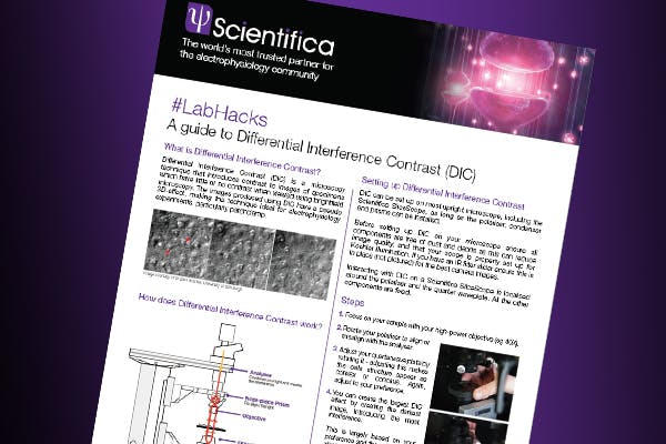 A Video Guide to Differential Interference Contrast… | Scientifica