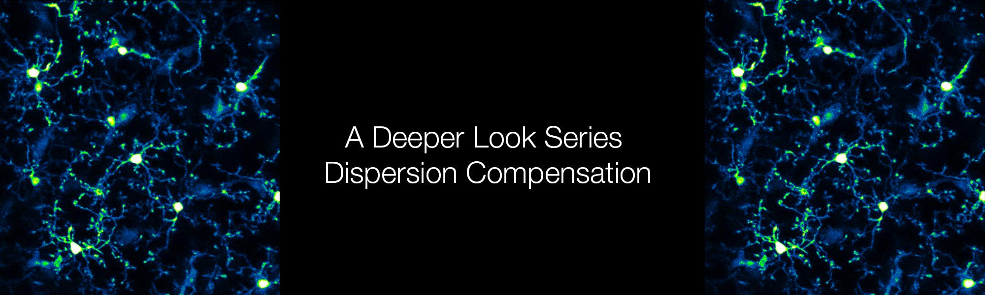 A Deeper Look: Dispersion Compensation | Scientifica