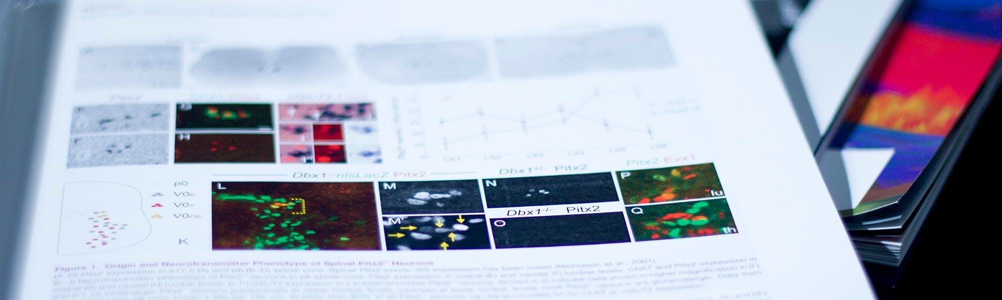 7 tips to get your first paper published in a journal