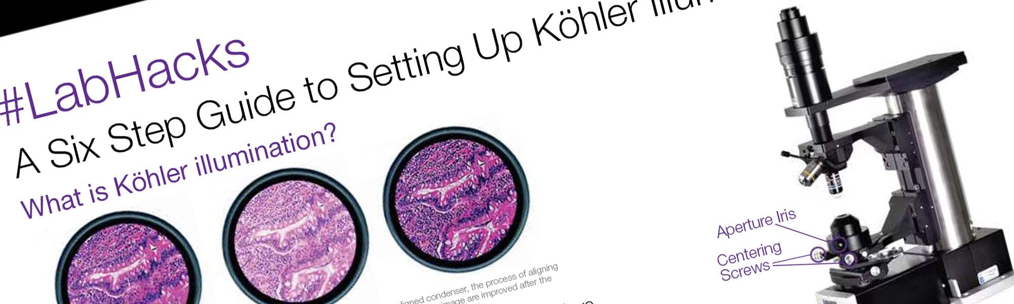 #LabHacks: Six Step Guide to Setting Up Köhler… | Scientifica