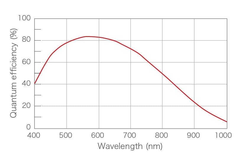 Experts in Electrophysiology Systems | Scientifica