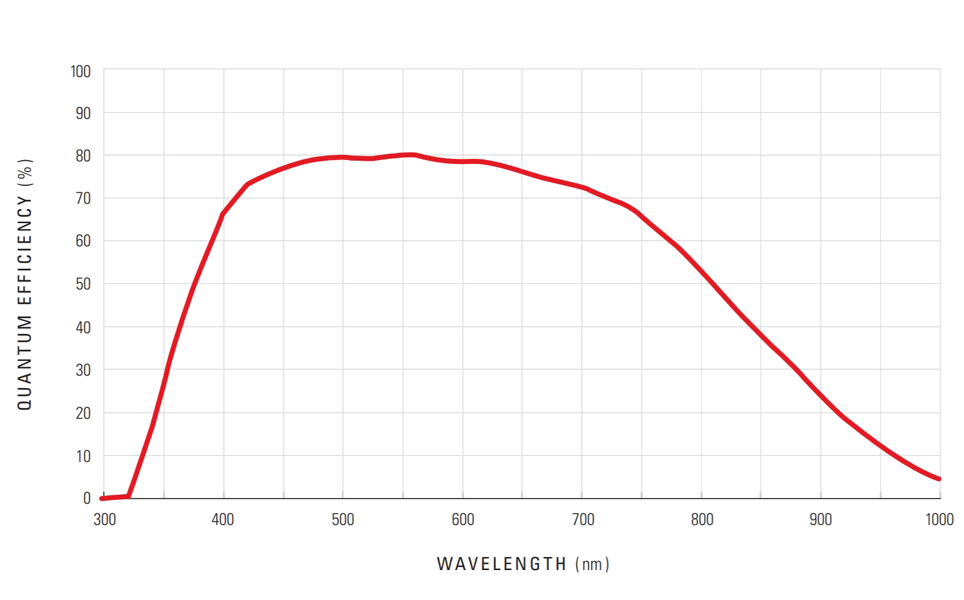 Experts in Electrophysiology Systems | Scientifica
