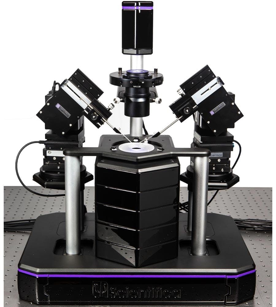 Scientifica PatchScope Pro 3000 | Scientifica