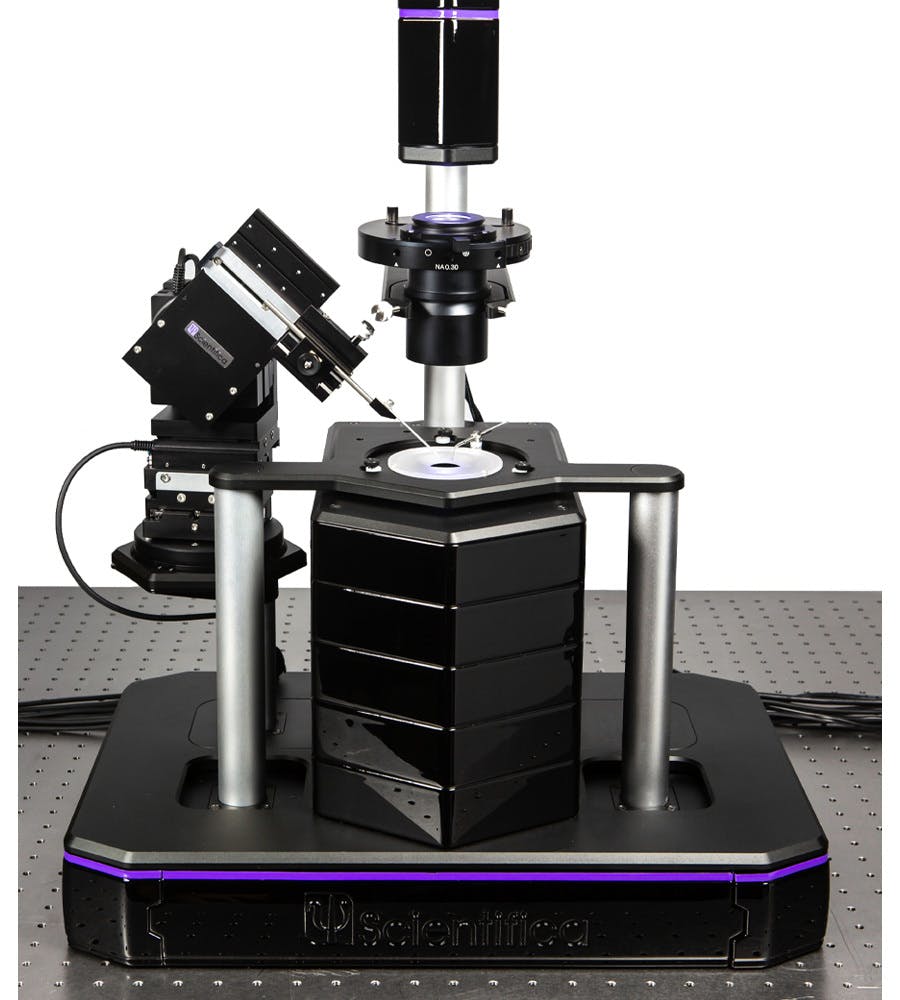 Scientifica PatchScope Pro 1000