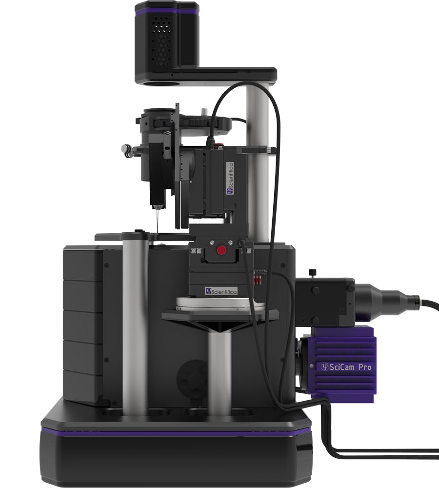 Scientifica PatchScope Pro 1000