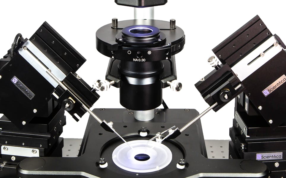 Learning patch clamp electrophysiology from scratch | Scientifica