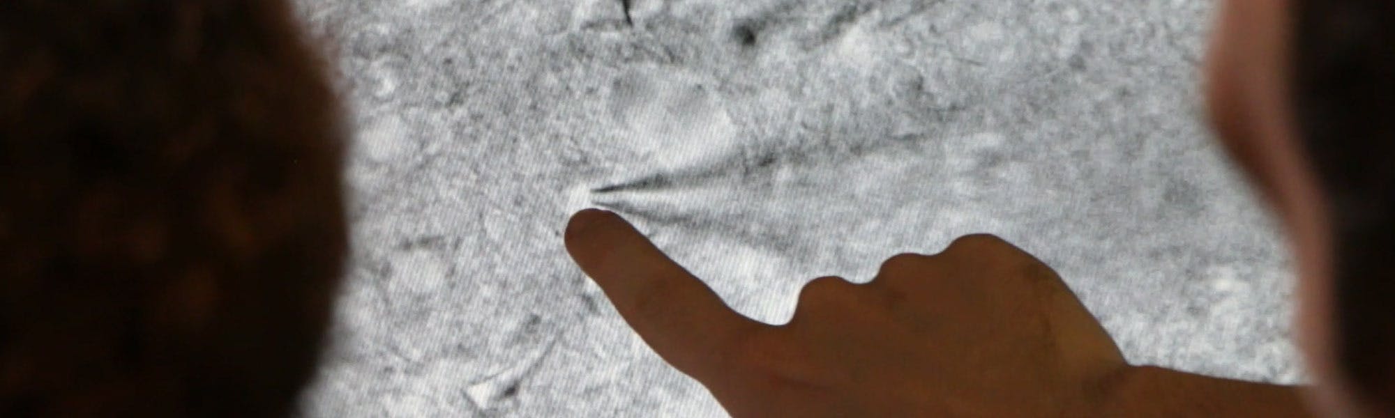 Patch clamp electrophysiology analysis with Python | Scientifica