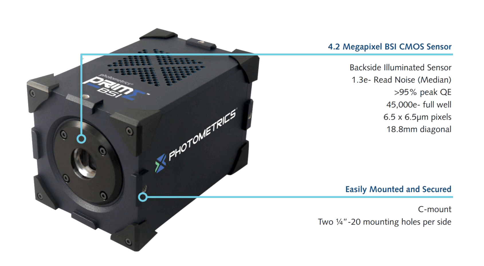 Experts in Electrophysiology Systems | Scientifica