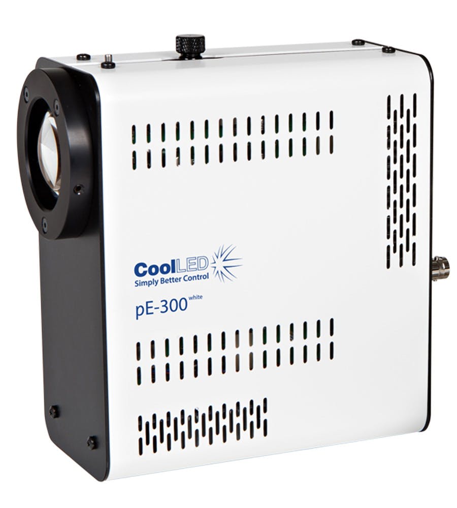 CoolLED pE-300 white LED illumination | Scientifica