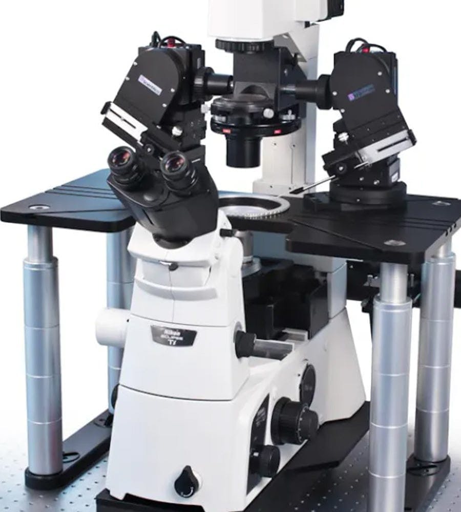 Scientifica Inverted Fixed Platform | Scientifica