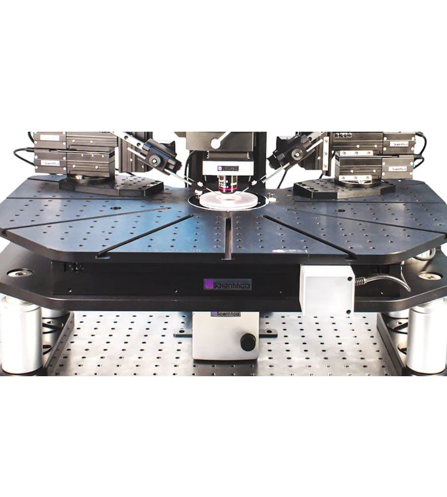 Scientifica Motorised Movable Top Plate (MMTP) | Scientifica