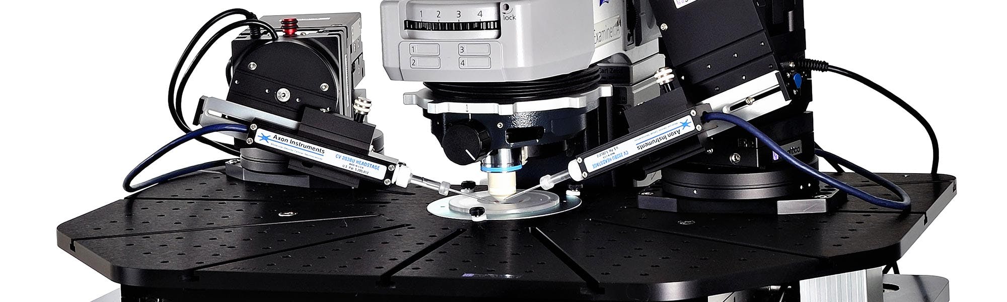 Scientifica Patch Pro 1000 Electrophysiology Rig | Scientifica