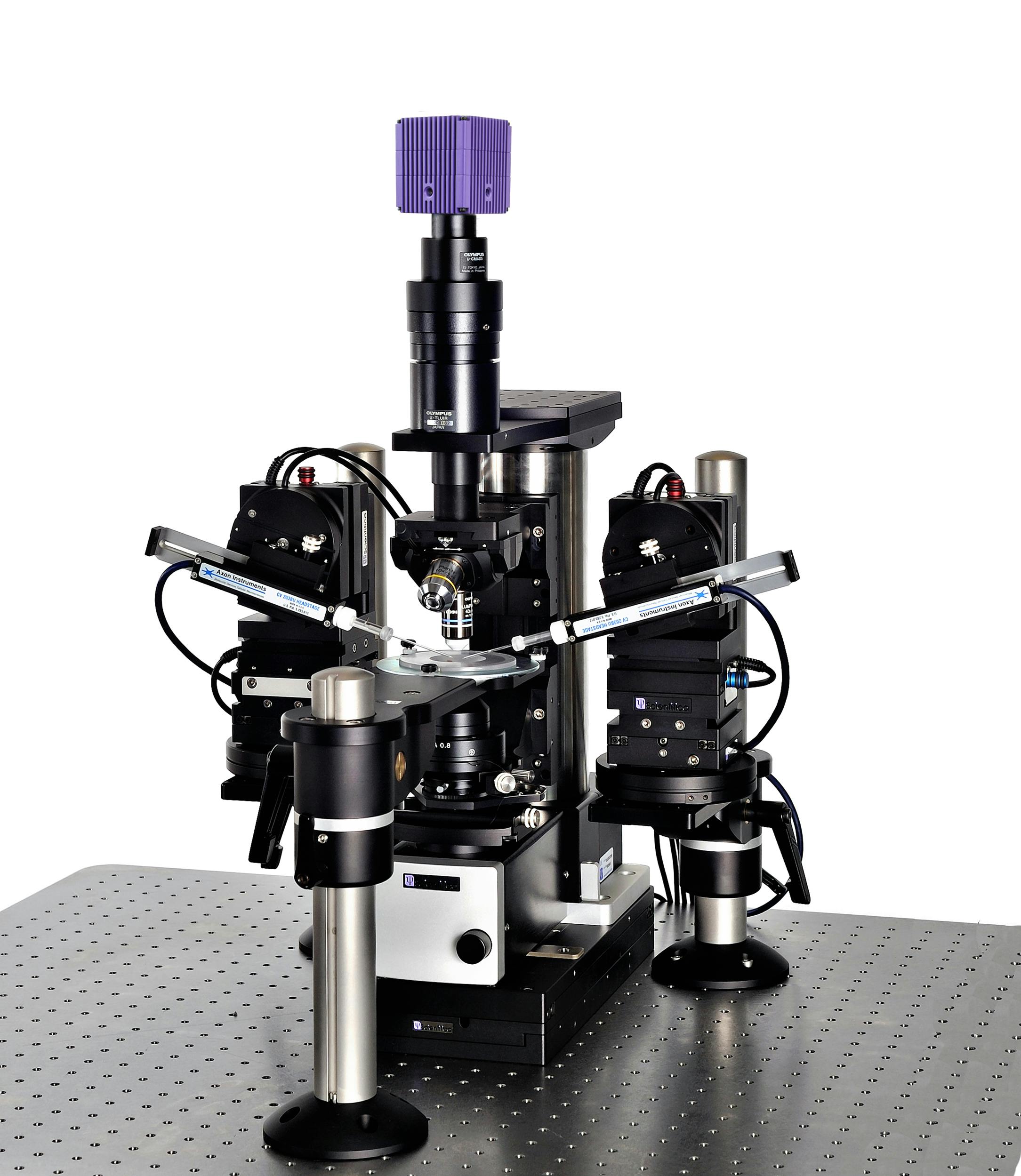 Scientifica SliceScope Pro 1000 | Electrophysiology Rig | Scientifica