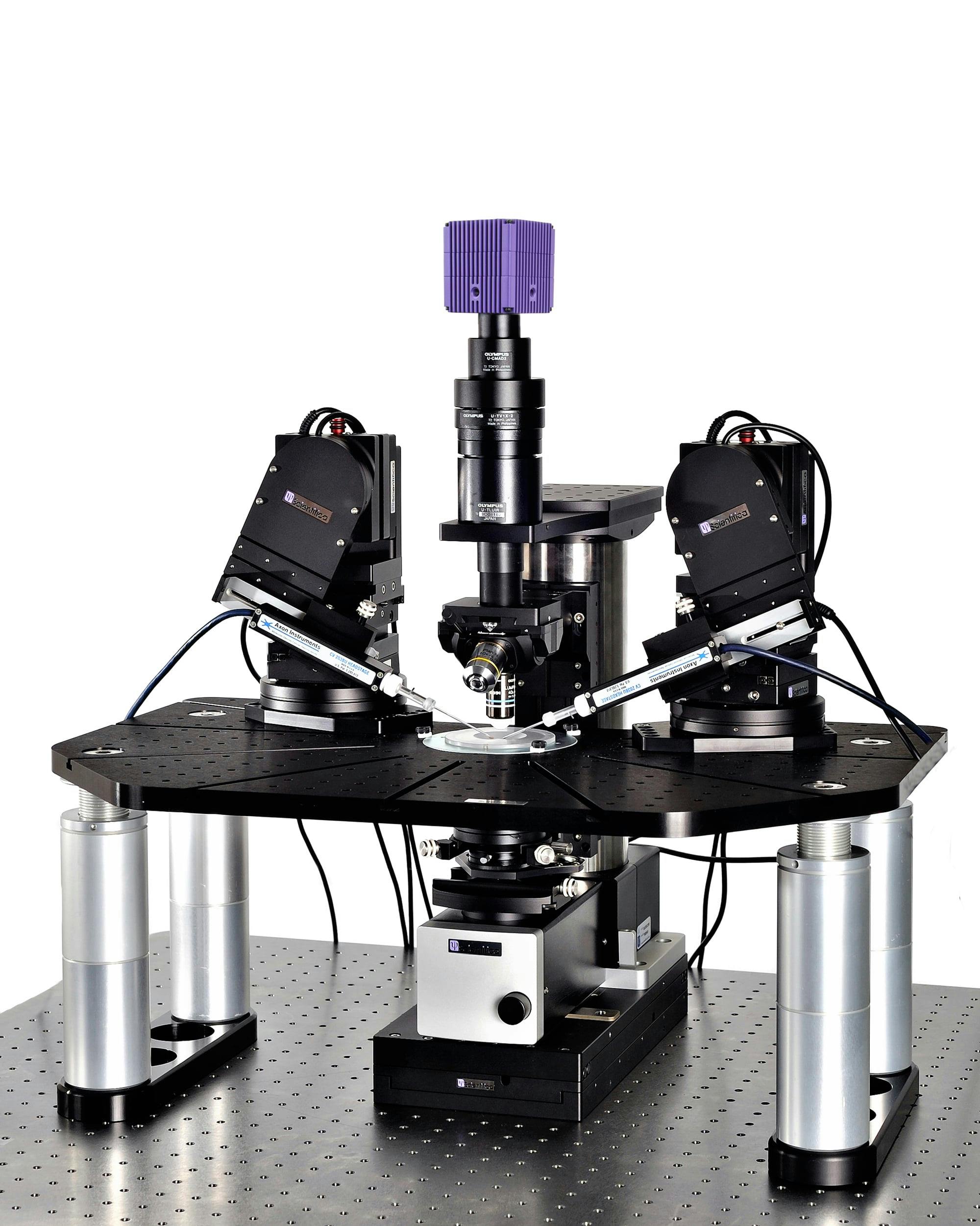 Scientifica SliceScope Pro 2000 | Electrophysiology Rig | Scientifica