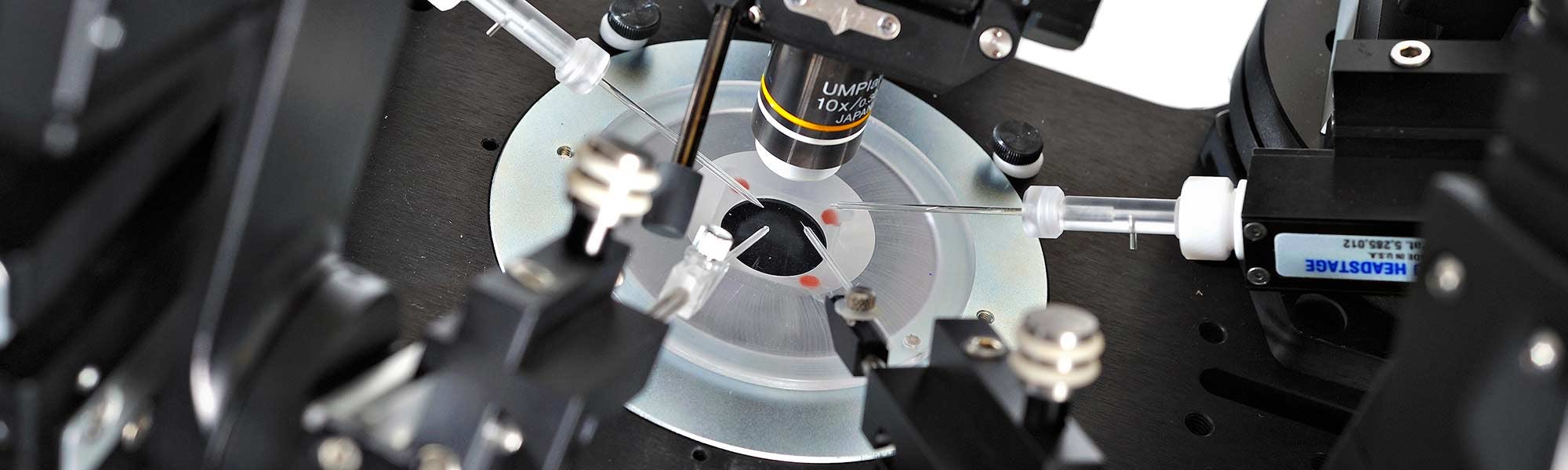 Scientifica SliceScope Pro 1000 Electrophysiology Rig