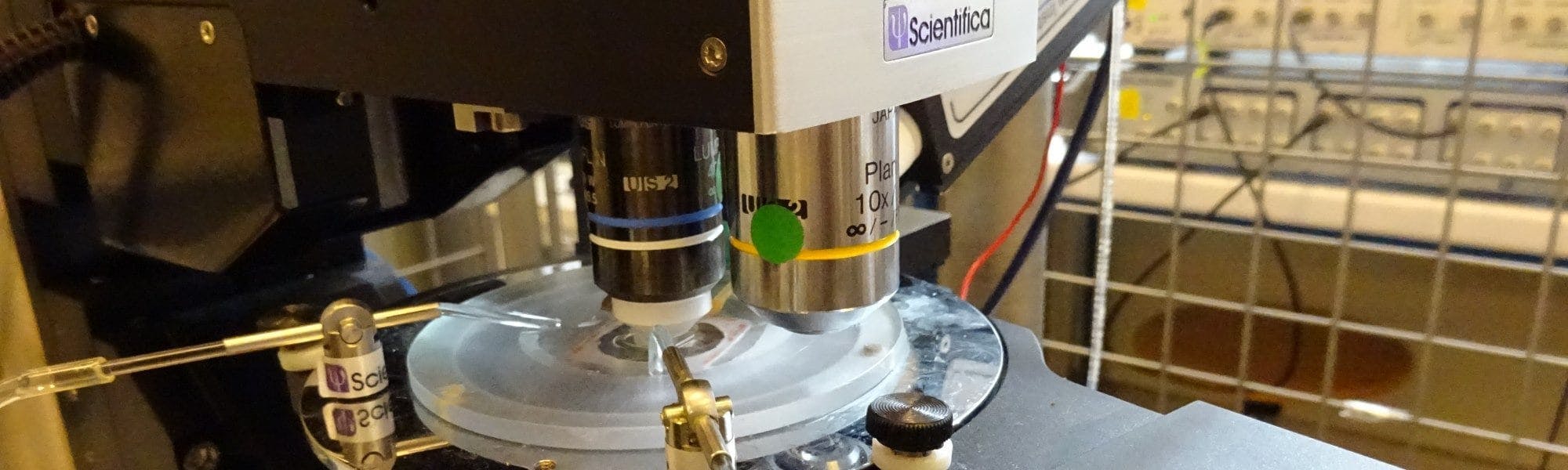 Using the SliceScope Pro 1000 for Brain Slice… | Scientifica