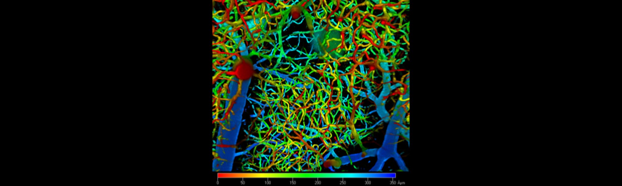 Multidimensional multiphoton imaging