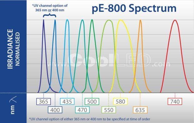 CoolLED pE-800 | Scientifica