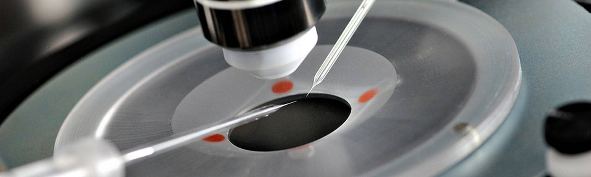 Patching Going Terribly 10 Common Problems And How To Fix Them